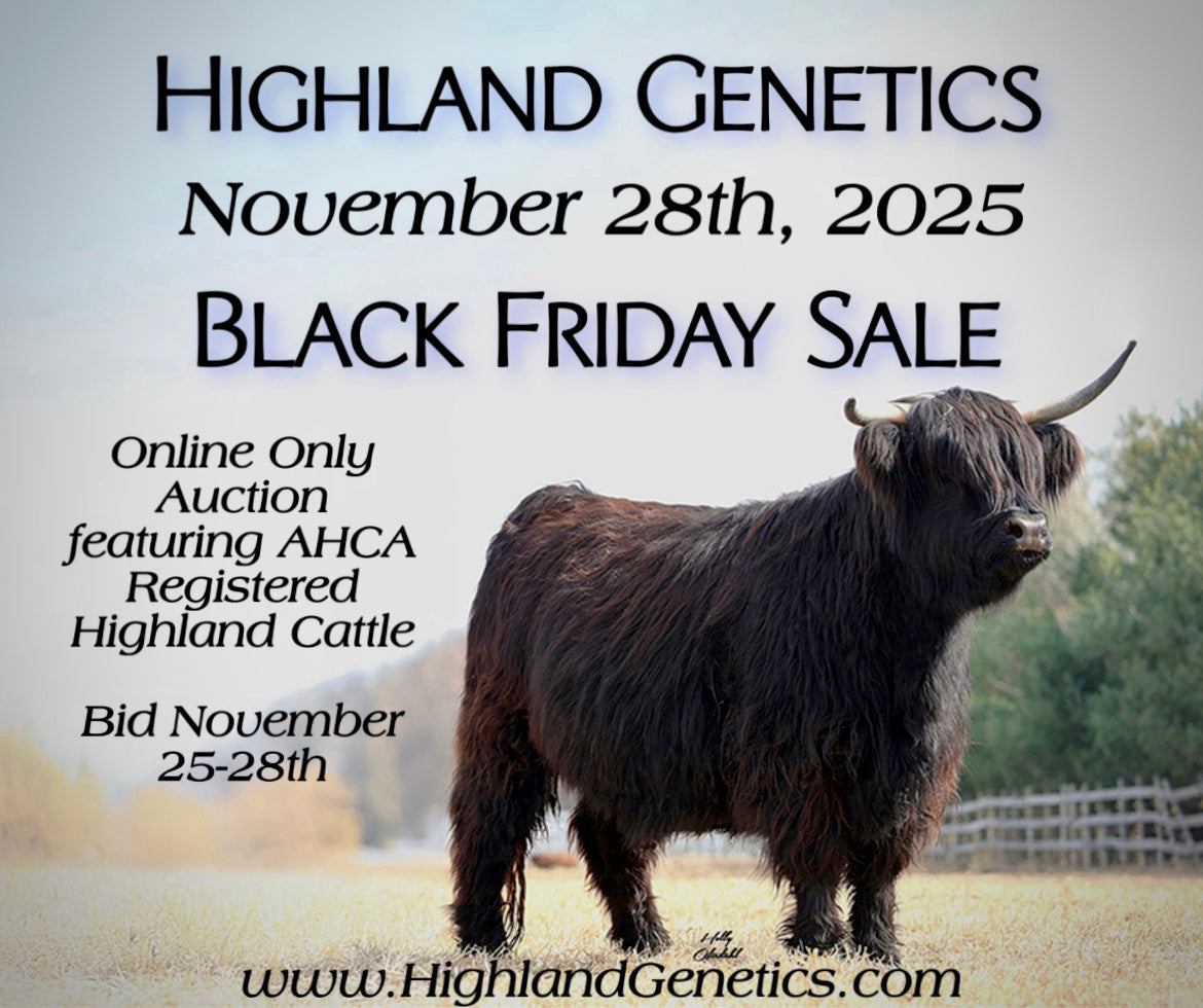 Auction Bidding – Highland Genetics