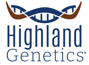 The Process of Conventional Embryo Transfer – Highland Genetics