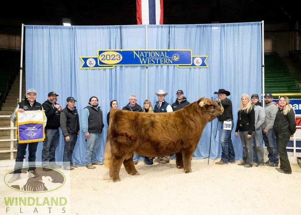 STR Encore – Highland Genetics