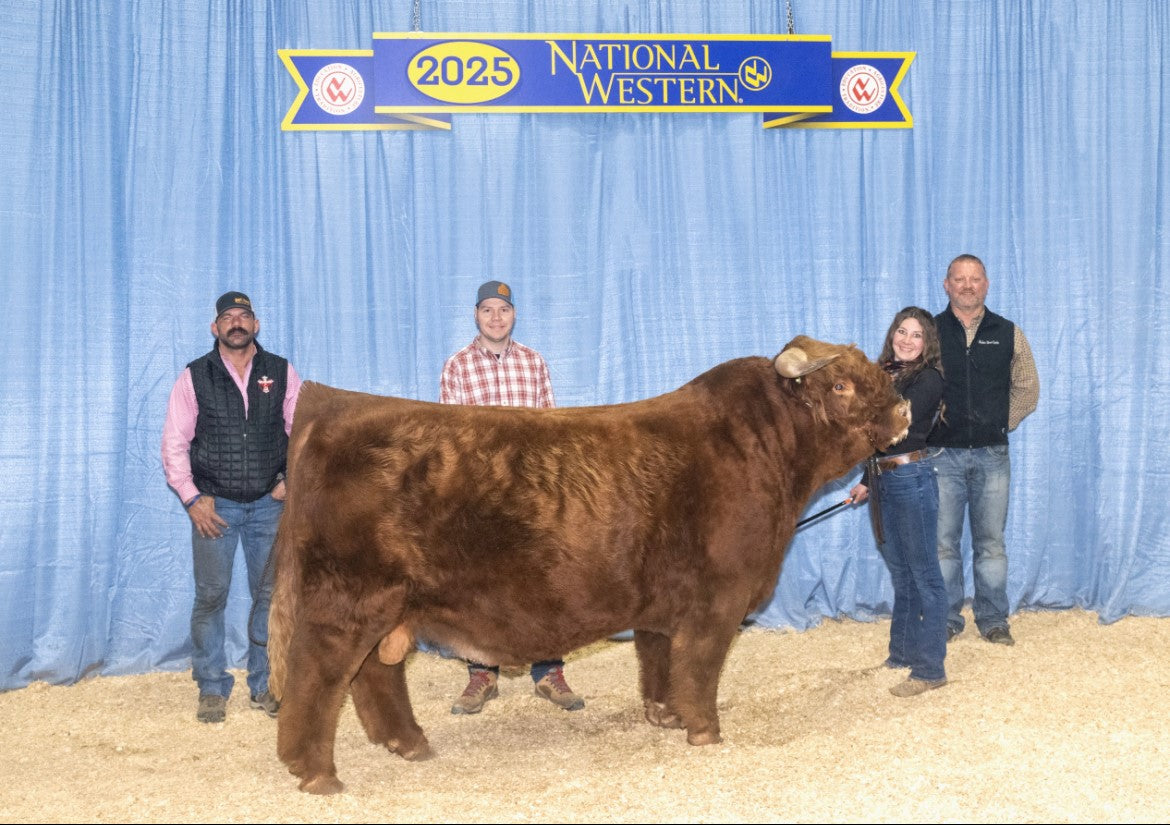 Highland Bull Semen & Highland Embryos for all your breeding needs ...